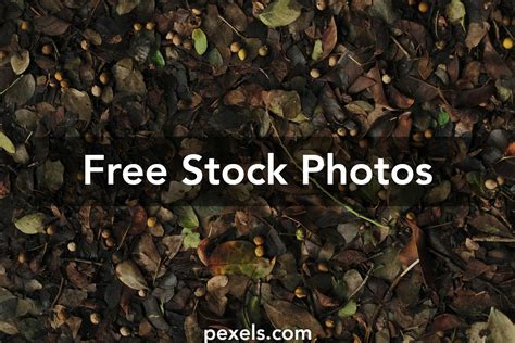 Simulation Cae Photos Download The Best Free Simulation Cae Stock