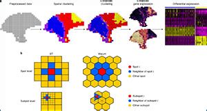 Spatial Transcriptomics At Subspot Resolution With BayesSpace RNA Seq Blog