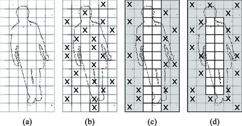 illustration of spatially targeted dropout regularization a a
