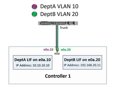 Netapp Logical Interfaces Lifs Tutorial Flackbox