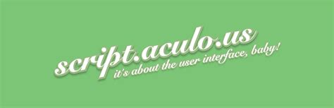 Script Aculo Us Web Development Services