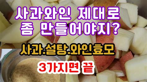 세상쉬운 전통사과 와인 제대로 만들기 혈당조절체중감량피부개선 Youtube