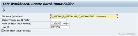 lsmw专题三：batch input recording 方式进行数据导入 （物料主数据为例） sap lsmw物料主数据 csdn博客