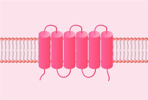 膜杰作—多次跨膜靶点蛋白开发技术平台及系列产品 Acrobiosystems