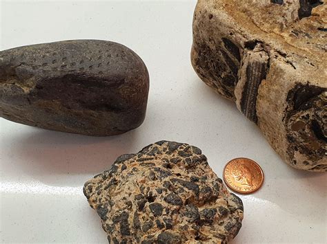 Any Idea What These Are Left A Scale Tree Middle Might Be Man Made Right Some Sort Of