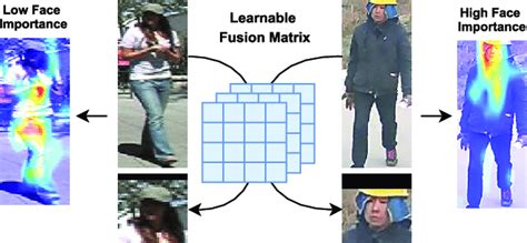 Illustration Of The Effect Of The Learnable Fusion Matrix A Major