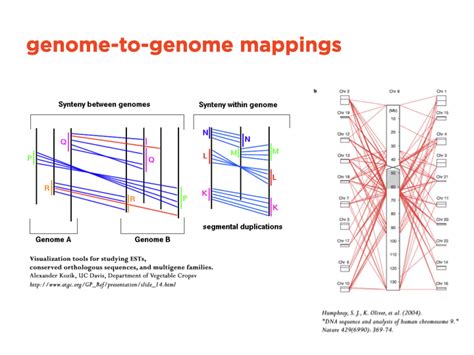 Applications Of Circos Circos Circular Genome Data Visualization