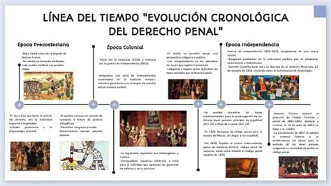 Evolución Del Gato A Lo Largo De La Historia ¡descúbrelo