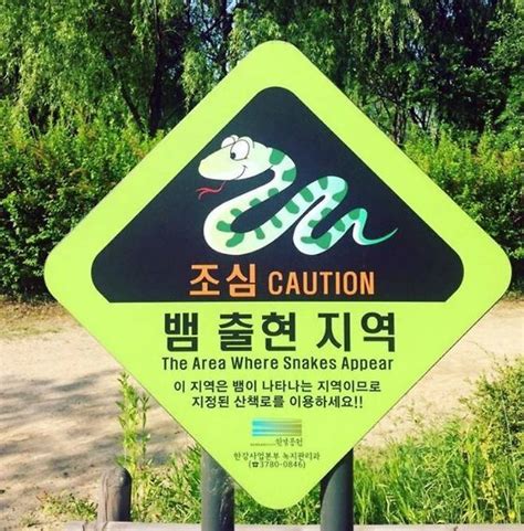 한강공원·캠핑장 놀러갔다 뱀 출현에 깜짝…조심하세요