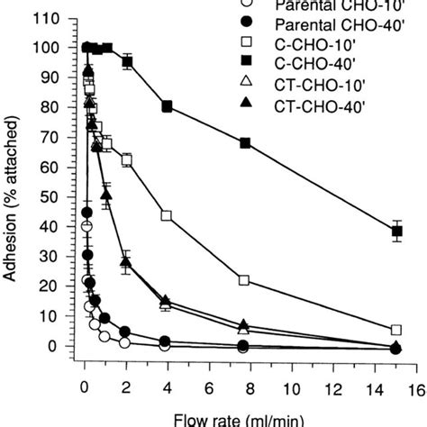 Tail Less C Cadherin Mutant Displays Adhesive Binding Activity But Not