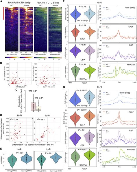 Eklf Klf1 Regulates Erythroid Transcription By Its Pioneering Activity And Selective Control Of