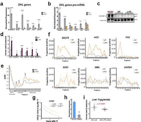 Transcriptional Regulation Of N6 Methyladenosine Orchestrates Sex Dimorphic Metabolic Traits Pmc