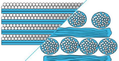 What Are Polymer Composites Spotting IT