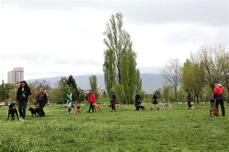 🌟 Присъединете се към множеството доволни клиенти които вече избраха нашия персонализиран
