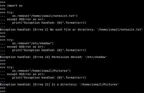 如何使用python删除和删除文件和目录？ Csdn博客
