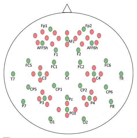 Figure 1 From Eeg Fnirs Based Hybrid Image Construction And