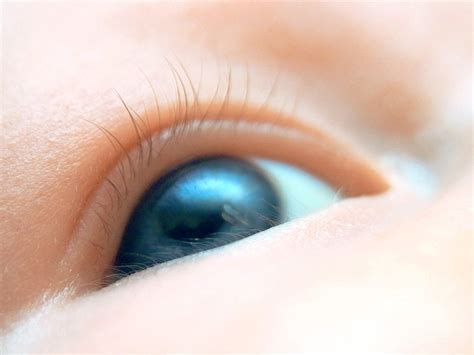Close Up Of A Baby S Eye Free Stock Photo Freeimages