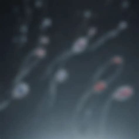 Understanding Sperm Testing After Vasectomy