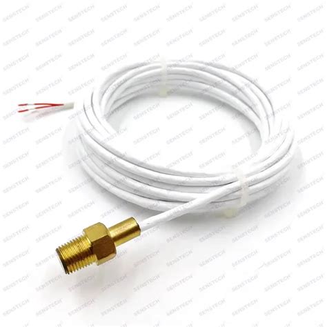 Pt100 Pt1000 Rtd Temperature Sensor With Flange Class A 316 Stainless Pt100 Pt1000 Rtd Temperature Sensor With Flange Class A 316 Stainless