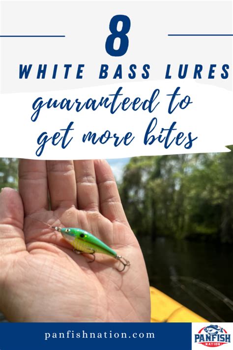 8 White Bass Lures Guaranteed To Get More Bites • Panfish Nation