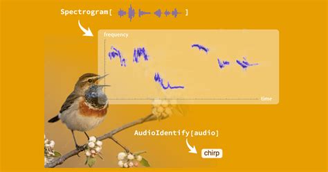 wolfram audio computation processing and analysis