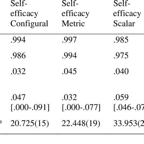 Fit For Configural Final Model Invariance Testing For Self Efficacy