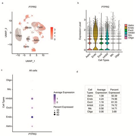 Cells Special Issue Single Cell Multi Omics And Its Applications In