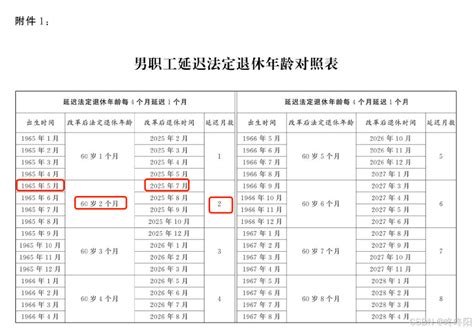 Java实现根据延迟法定退休政策计算退休年龄java 延迟退休 Csdn博客 Java实现根据延迟法定退休政策计算退休年龄java 延迟退休 Csdn博客
