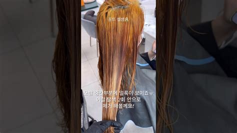 옴브레했던 모발 탈색 2회로 맞추기 설쌤 홍대미용실 탈색 Shorts 블랙빼기 Youtube
