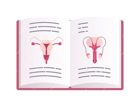 сексуальная книга урок биологии и анатомии человека половое воспитание психическое и