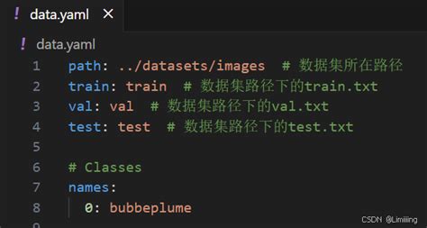 语义分割：yolov11的分割模型训练自己的数据集（从代码下载到实例测试）yolov11改进专栏 Csdn专栏