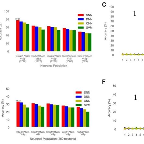 Decoding Accuracy For The Top Neuronal Populations Parcellated By