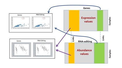 Mastering Rna Seq Ngs Data Analysis A Critical Approach To