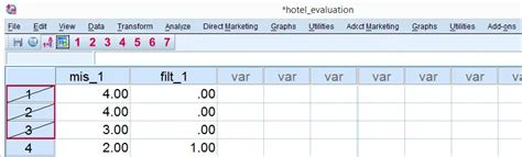 Spss Data Preparation 6 Inspect Cases