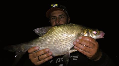 Нічний Фідер Риболовля з Ночівлею на Десні Youtube