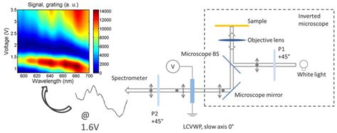 Polarization Interferometry For Real Time Spectroscopic Plasmonic