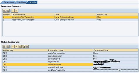 Solved Pgp Decryption Module Error Sap Community