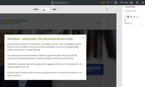 Modal Popup Critical Bug With Shading Color Nicepage Forum