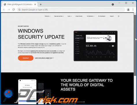 Ledger Live Update Scam Removal And Recovery Steps