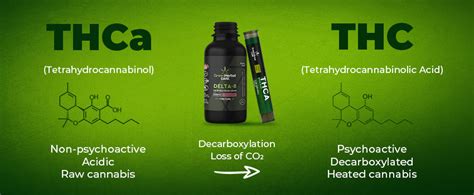 What Is Thca Vs Thc A Comprehensive Comparison