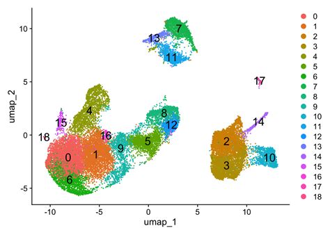 Visualizing The Single Cell Rna Seq Workflow
