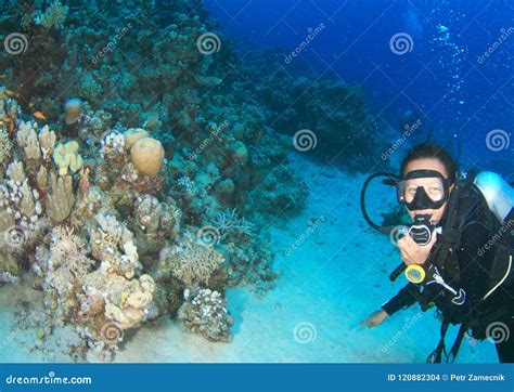 Diver Smiling Girl Underwater Stock Image 65577769