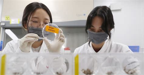 경기도 지난해 말라리아 환자 83 증가…매개 모기 조사사업 실시