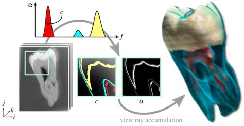 6 Direct Volume Rendering Ikits Et Al 2004 The Density Value F Of Download Scientific