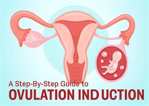 Step By Step Guide To Ovulation Induction