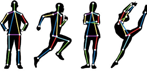 human pose estimation with deep learning decoding the language of body