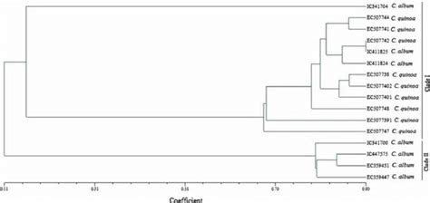 Concatenated Upgma Dendrogram Generated Using Ntsys Pc V21 From The