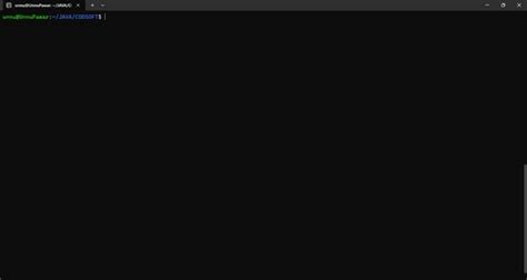 Video Vaishnavi Pawar On Linkedin Codsoft