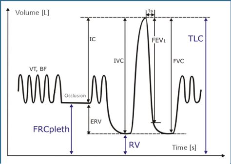 Figure 1 From R V Graph In Whole Body Plethysmography Semantic Scholar