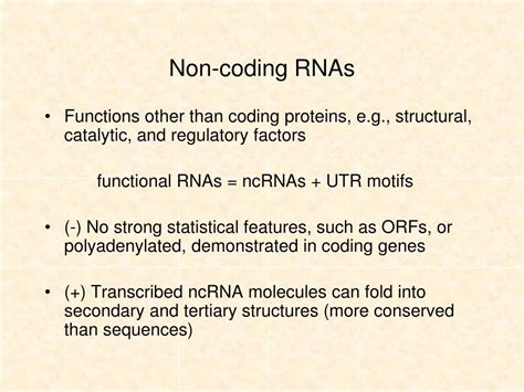 PPT C Omputational NcRNA Gene Finding Nc RNA Structure Prediction PowerPoint Presentation